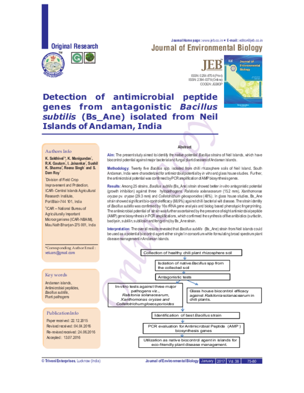 (PDF) Detection of antimicrobial peptide genes from antagonistic ...