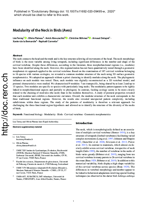 (PDF) Modularity of the Neck in Birds (Aves)