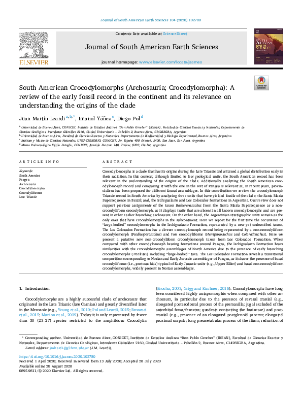 (PDF) South American Crocodylomorphs (Archosauria; Crocodylomorpha): A ...