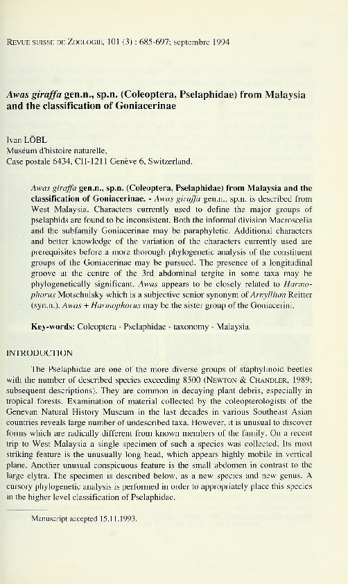 (PDF) Awas giraffa gen. n., sp. n. (Coleoptera, Pselaphidae) from ...