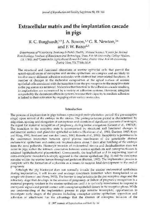 (PDF) Extracellular matrix and the implantation cascade in pigs