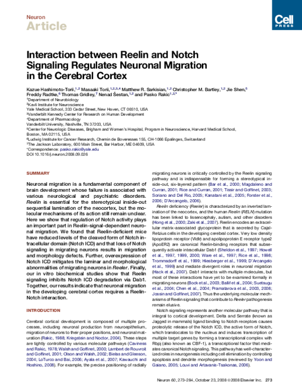 (PDF) Interaction between Reelin and Notch Signaling Regulates Neuronal ...