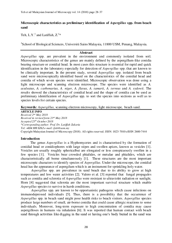(PDF) Microscopic characteristics as preliminary identification of Aspergillus spp. from beach sand