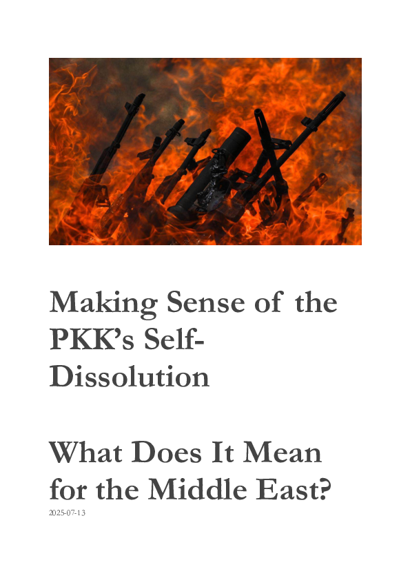 (PDF) Making Sense of the PKK’s Self-Dissolution