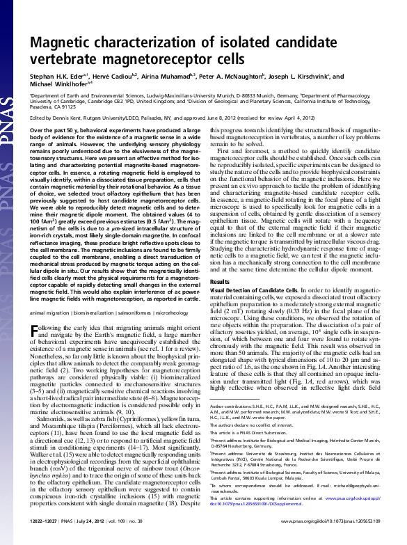 (PDF) Magnetic characterization of isolated candidate vertebrate ...
