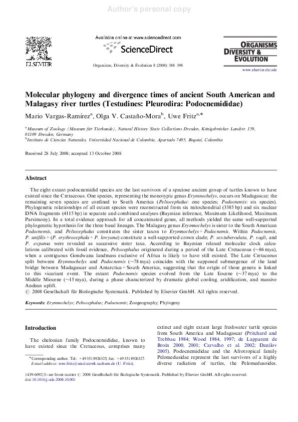 (PDF) Molecular phylogeny and divergence times of ancient South ...