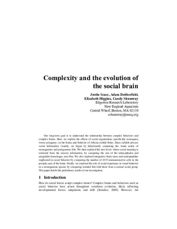(PDF) Complexity and the evolution of the social brain