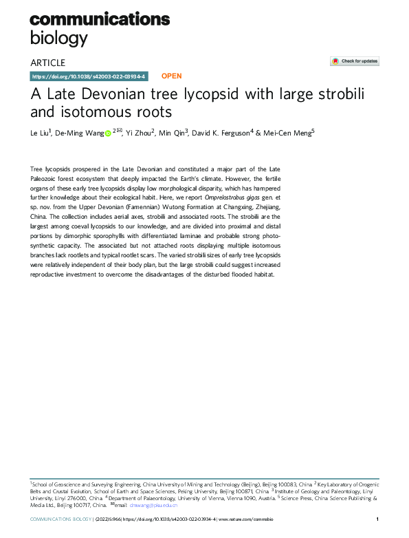 (PDF) A Late Devonian tree lycopsid with large strobili and isotomous roots