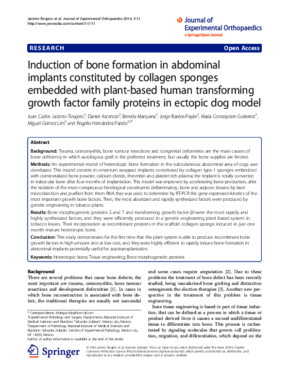 (PDF) Induction of bone formation in abdominal implants constituted by ...