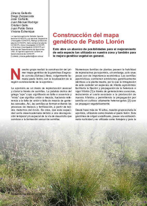 (PDF) Construcción del mapa genético de pasto llorón