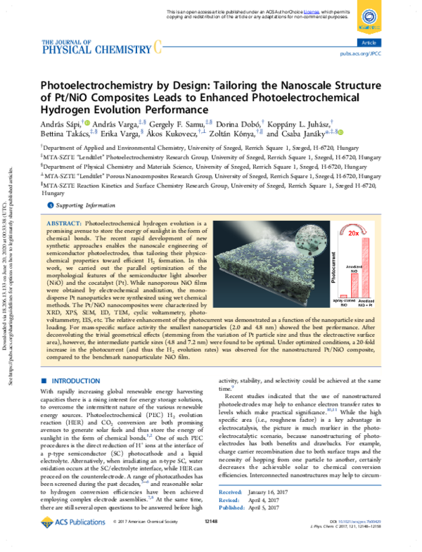 (PDF) Photoelectrochemistry by Design: Tailoring the Nanoscale ...