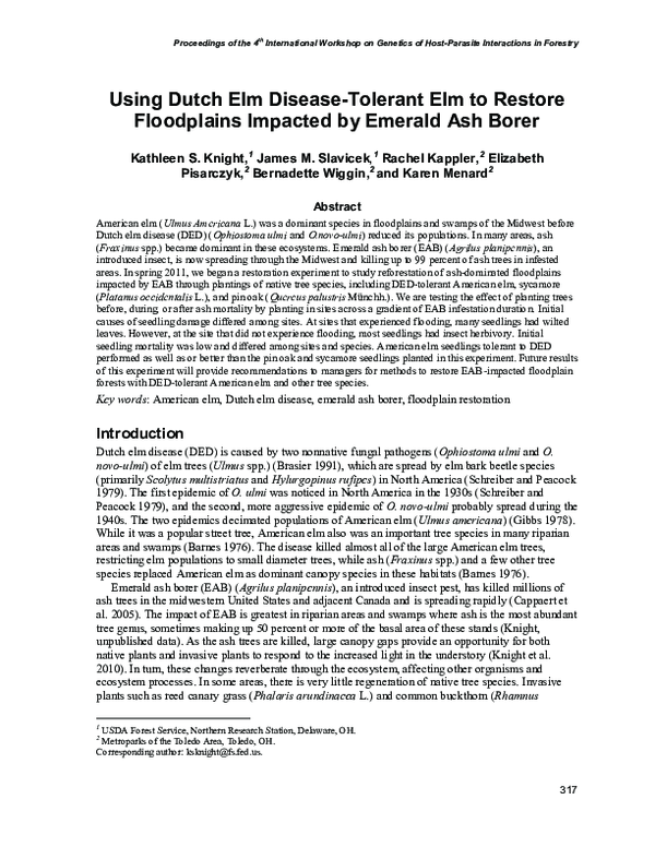 (PDF) Using Dutch elm disease-tolerant elm to restore floodplains ...