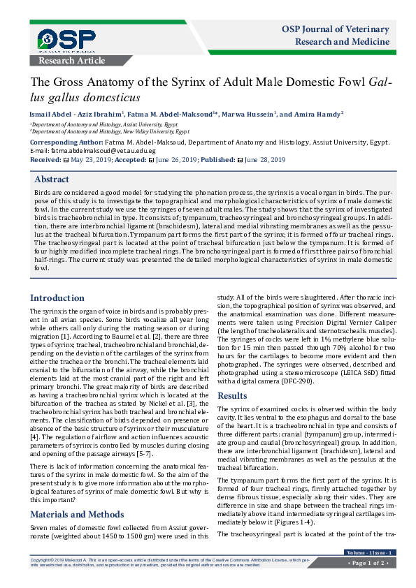 (PDF) The Gross Anatomy of the Syrinx of Adult Male Domestic Fowl Gal ...
