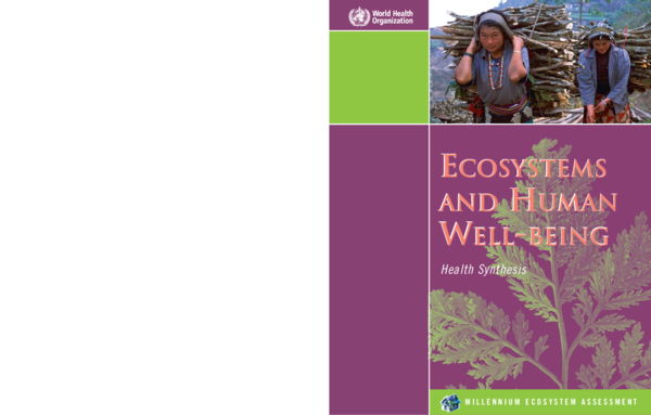 (PDF) Ecosystems and human well-being: health synthesis