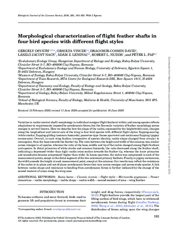 (PDF) Morphological characterization of flight feather shafts in four bird species with ...