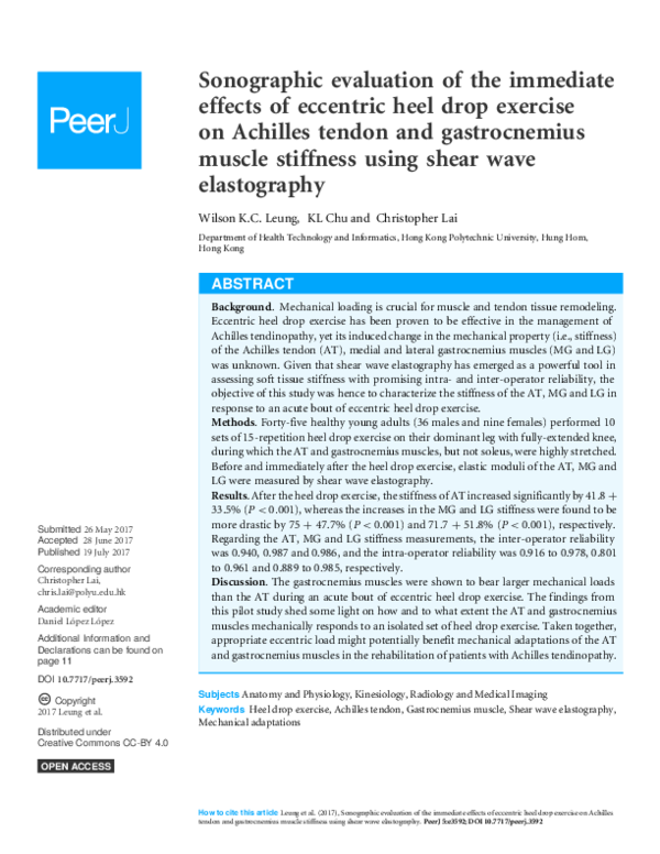 (PDF) Sonographic evaluation of the immediate effects of eccentric heel ...