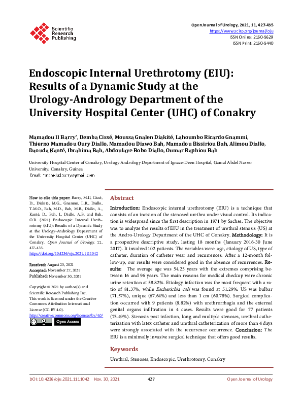 (PDF) Endoscopic Internal Urethrotomy (EIU): Results of a Dynamic Study ...