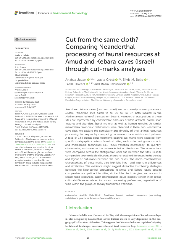 (PDF) Jallon, A., Crete, L., Bello Silvia, Hovers, E., Rabinovich, R ...
