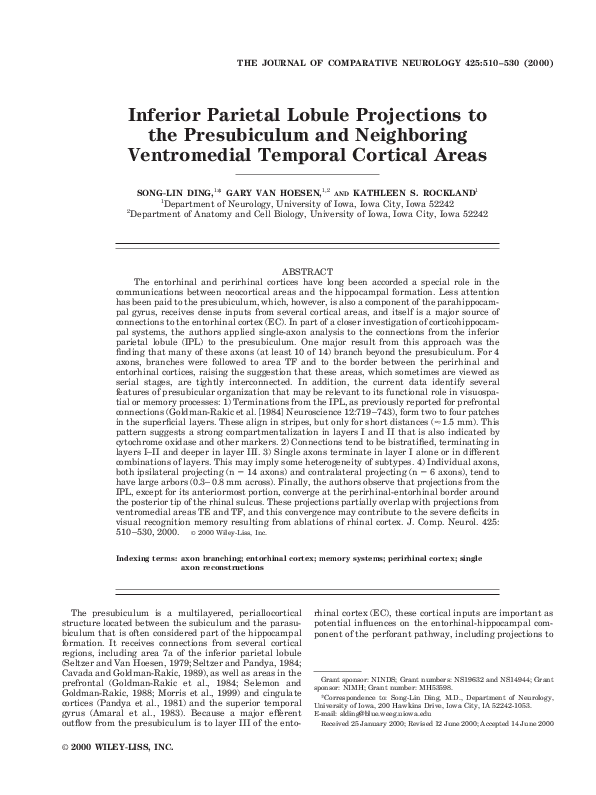 (PDF) Inferior parietal lobule projections to the presubiculum and ...