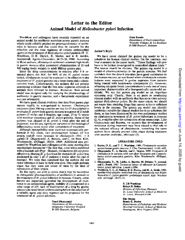 (PDF) Animal model of Helicobacter pylori infection