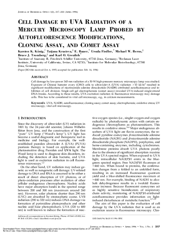 (PDF) Cell damage by UVA radiation of a mercury microscopy lamp probed ...