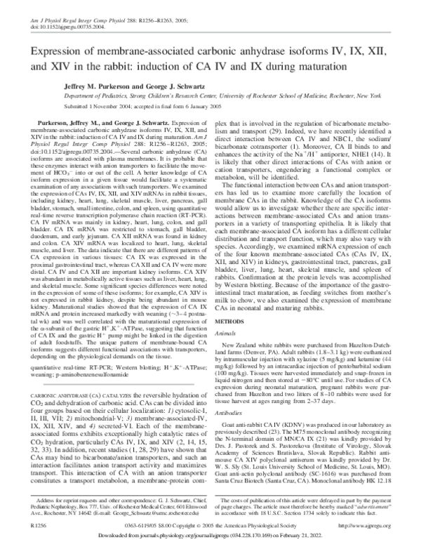 (PDF) Expression of membrane-associated carbonic anhydrase isoforms IV ...