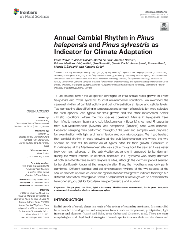 (PDF) Annual Cambial Rhythm in Pinus halepensis and Pinus sylvestris as ...