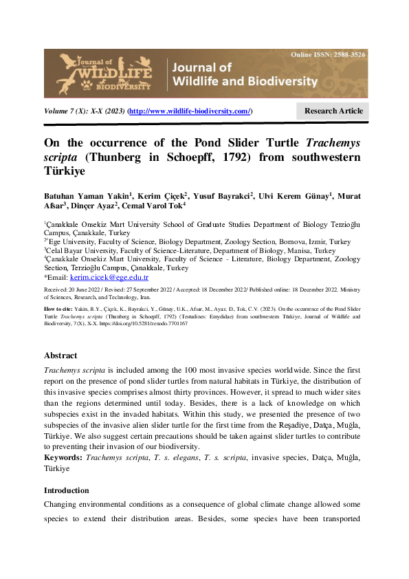 (PDF) On the occurrence of the Pond Slider Turtle Trachemys scripta ...