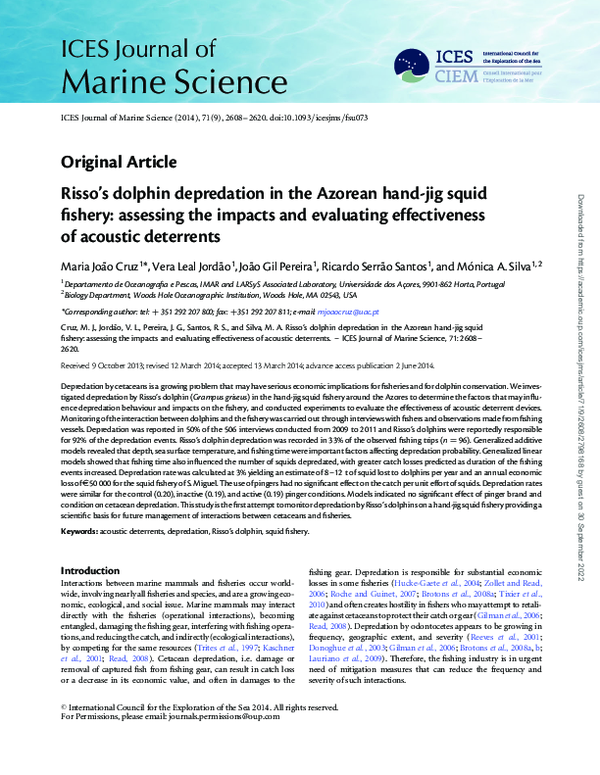 (PDF) Risso’s dolphin depredation in the Azorean hand-jig squid fishery ...