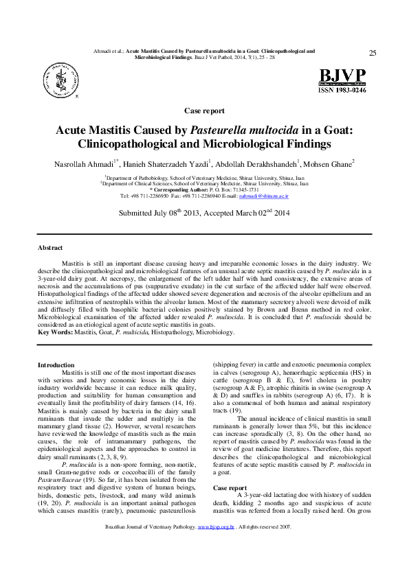 (PDF) Acute Mastitis Caused by Pasteurella multocida in a Goat: Clinicopathological and ...