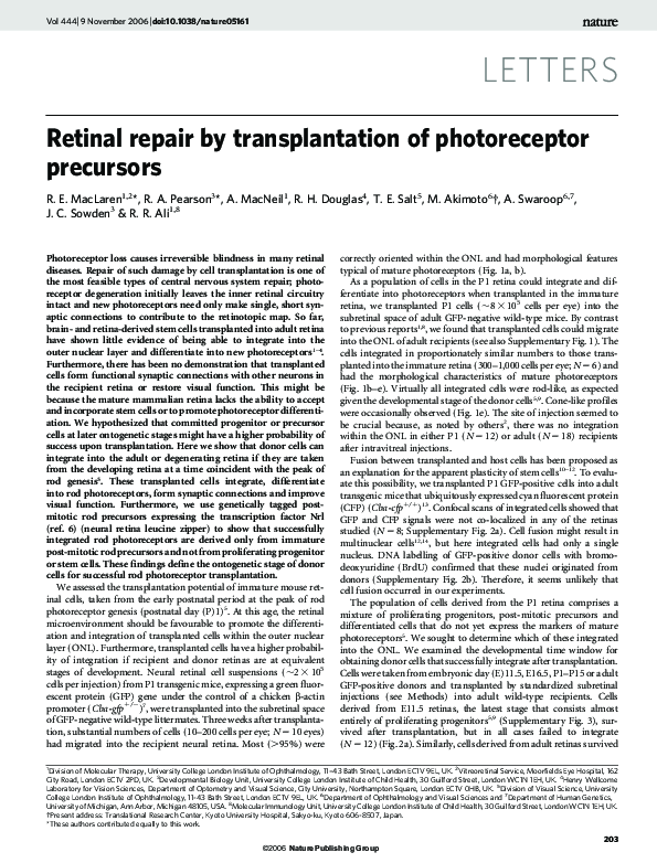 (PDF) Retinal repair by transplantation of photoreceptor precursors