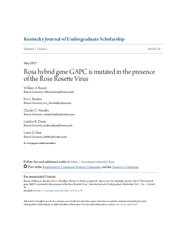 (PDF) Rosa hybrid gene GAPC is mutated in the presence of the Rose ...