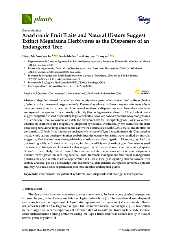 (PDF) Anachronic Fruit Traits and Natural History Suggest Extinct ...