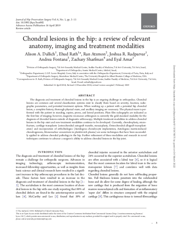 (PDF) Chondral lesions in the hip: a review of relevant anatomy ...