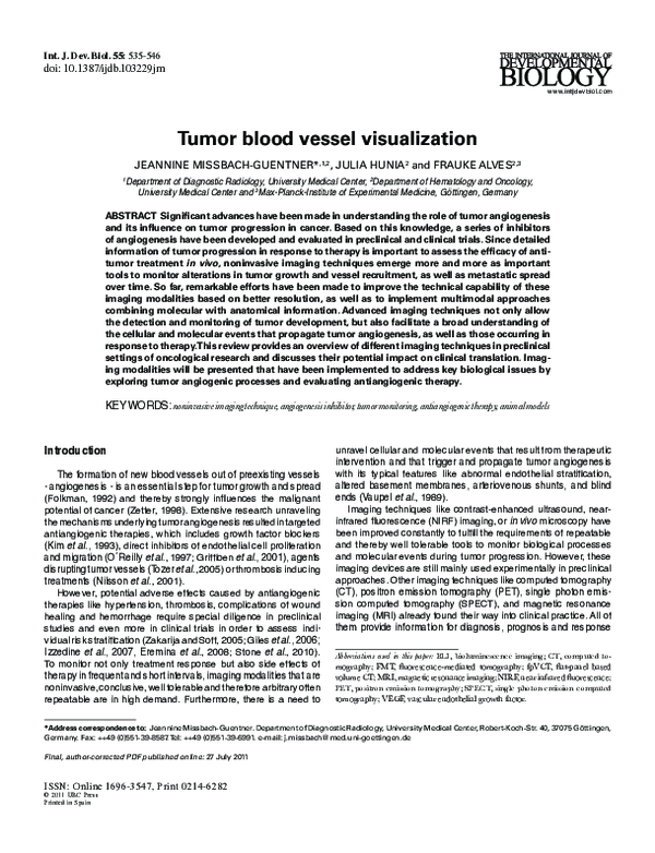 (PDF) Tumor blood vessel visualization