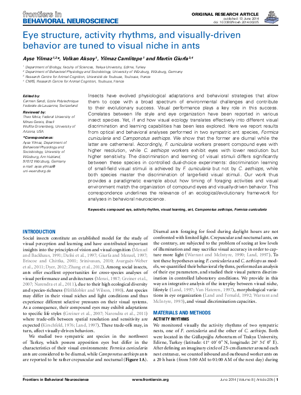 (PDF) Eye structure, activity rhythms, and visually-driven behavior are ...
