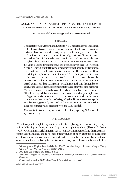 (PDF) Axial and Radial Variations in Xylem Anatomy of Angiosperm and ...