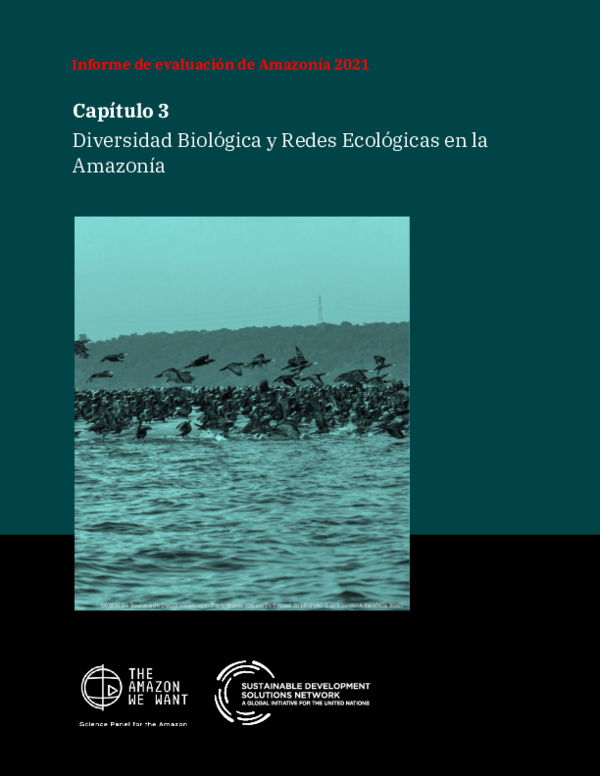 (PDF) Capítulo 3: Diversidad Biológica y Redes Ecológicas en la Amazonía