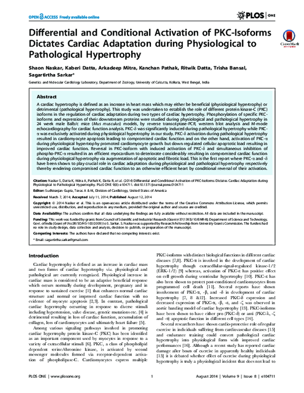 (PDF) Differential and Conditional Activation of PKC-Isoforms Dictates ...