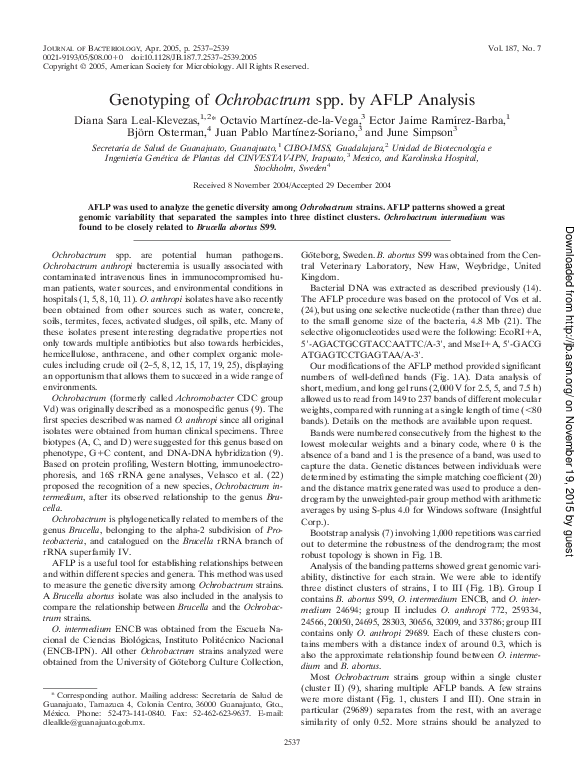 (PDF) Genotyping of Ochrobactrum spp. by AFLP Analysis