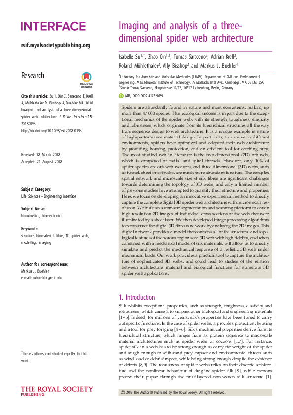 (PDF) Imaging and analysis of a three-dimensional spider web architecture