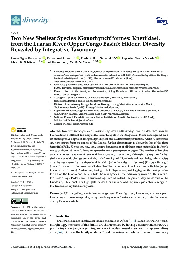 (PDF) Two New Shellear Species (Gonorhynchiformes: Kneriidae), from the ...