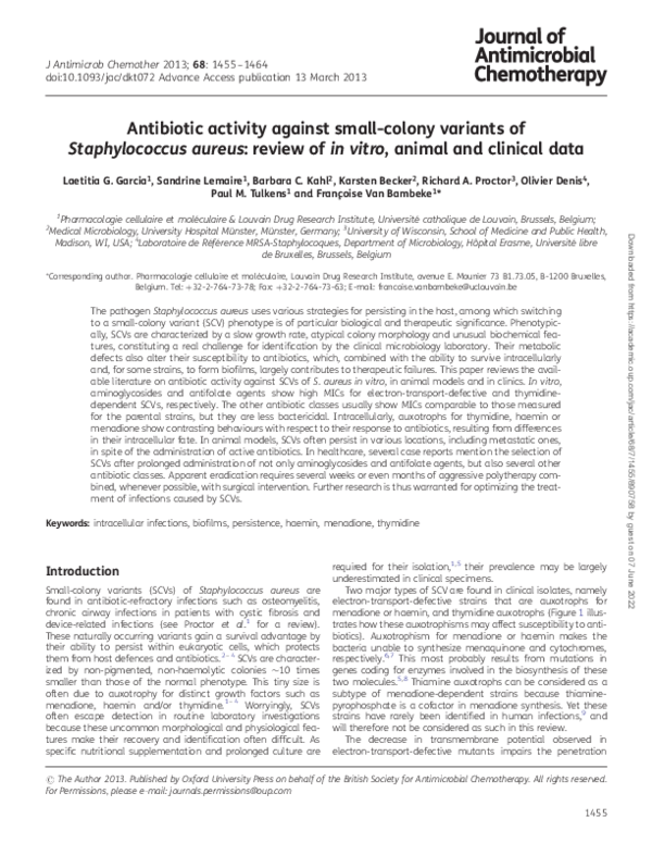 (PDF) Antibiotic activity against small-colony variants of ...