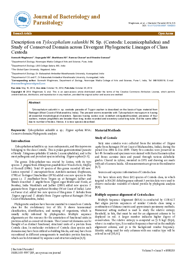 (PDF) Description on Tylocephalum salunkhi N. Sp. (Cestoda ...