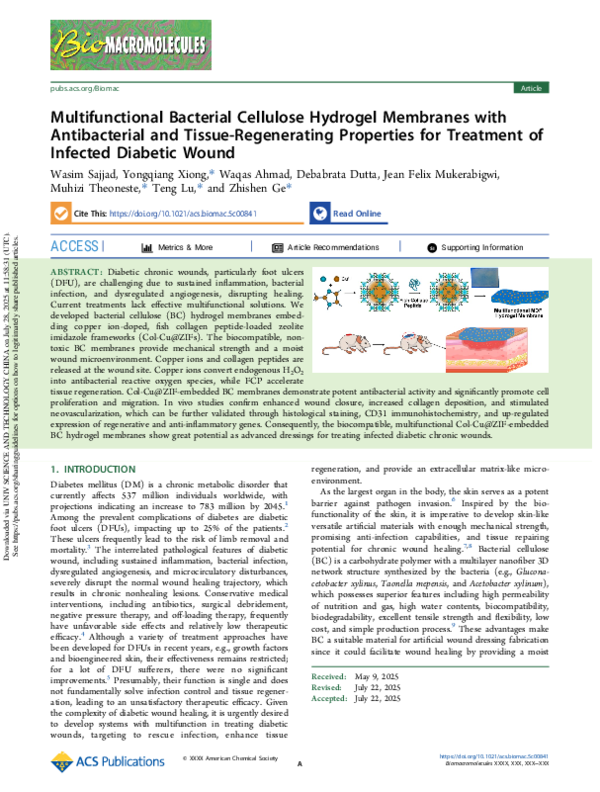 (PDF) Multifunctional Bacterial Cellulose Hydrogel Membranes with ...