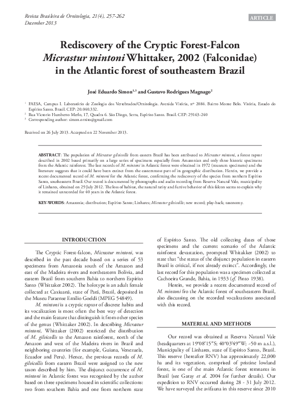 (PDF) Rediscovery of the Cryptic Forest-Falcon Micrastur mintoni ...