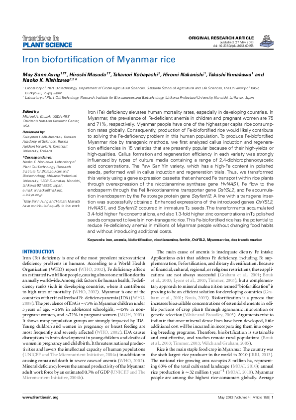 (PDF) Iron Biofortification of Myanmar Rice