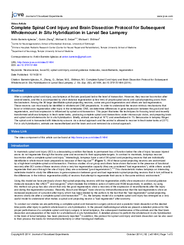 (PDF) Complete Spinal Cord Injury and Brain Dissection Protocol for ...