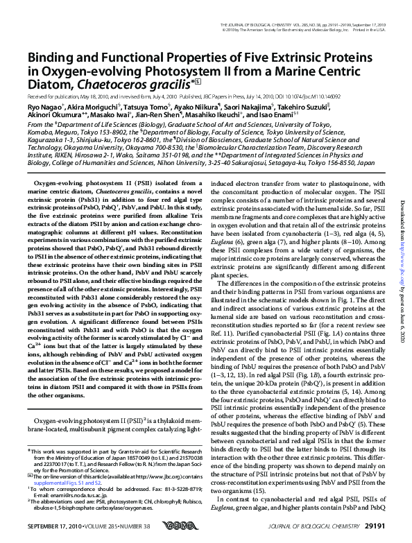 (PDF) Binding and Functional Properties of Five Extrinsic Proteins in ...