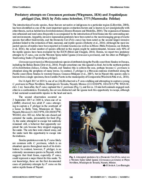 (PDF) Predation attempt on Ctenosaura pectinata (Wiegmann, 1834) and ...